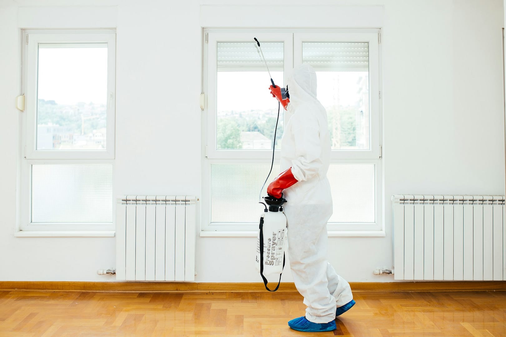 The Importance of Routine Pest Inspections for Your Home or Business